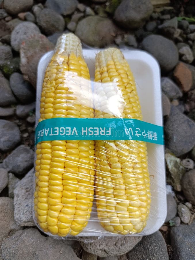Sweet Corn Pack stock image. Image of corn, packaged - 371537785