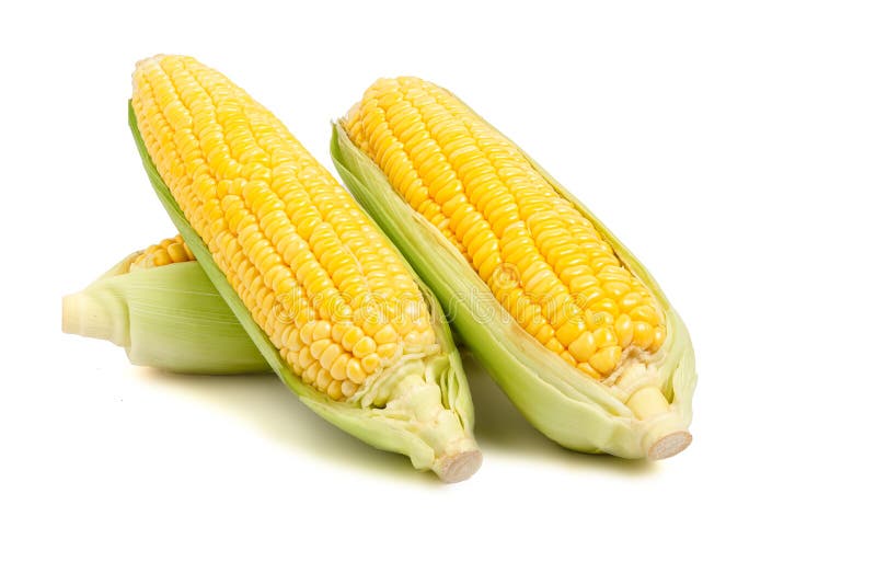 Sweet Corn Vegetables, Fresh Peeled Saw Yellow Corn Kernels, Piled ...