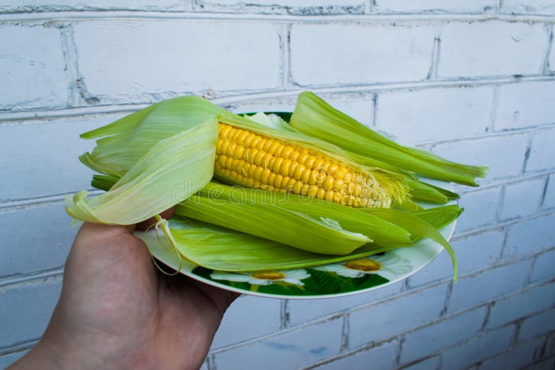 Sweet corn on a plate stock photo. Image of kernel, corn - 95406618