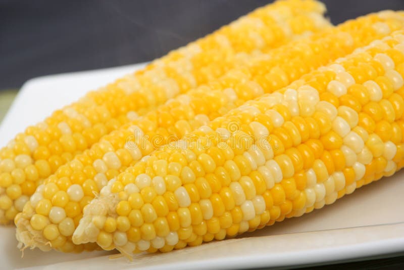 Sweet corn on a plate stock photo. Image of vegetable - 31994684