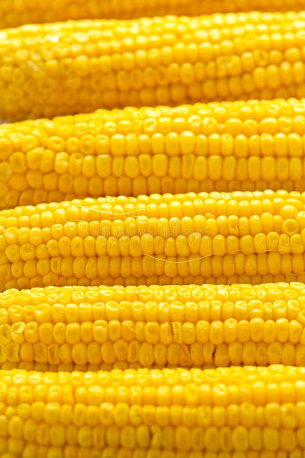 Sweet Corn, Ready To Eat on Wooden Board Stock Photo - Image of ...
