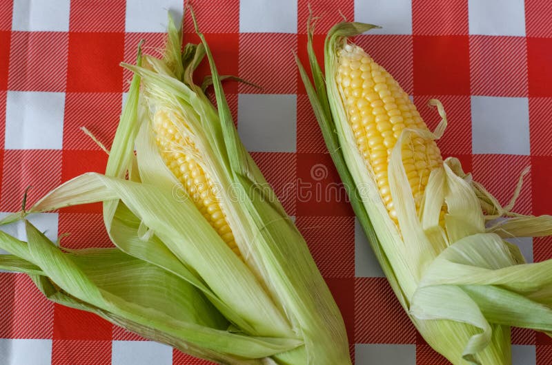 Sweet Corn, on Red Checkered Background Stock Image - Image of cooking ...