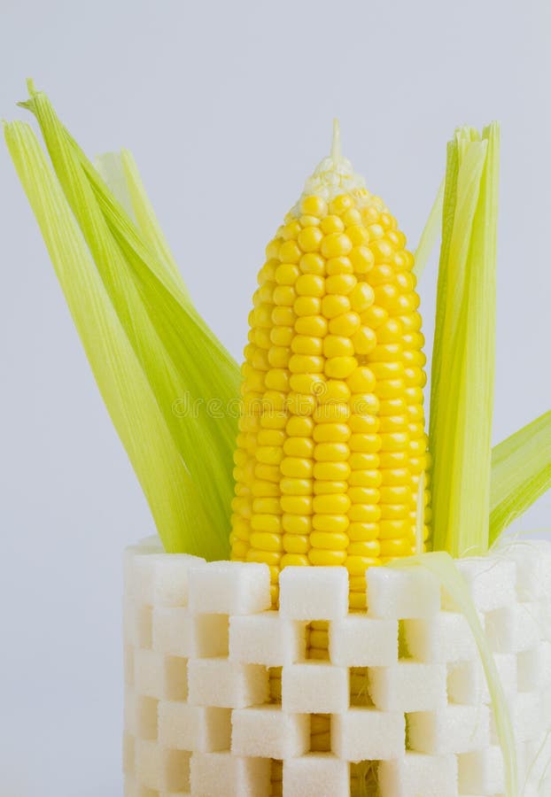 Sweet corn stock photo. Image of nutrition, breakfast - 101196542