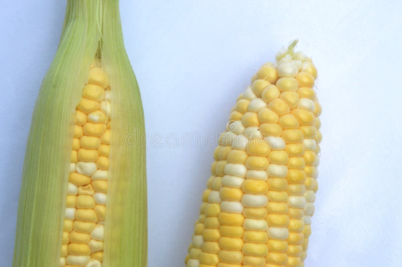 Sweet corn with two colors stock image. Image of colours - 330174641
