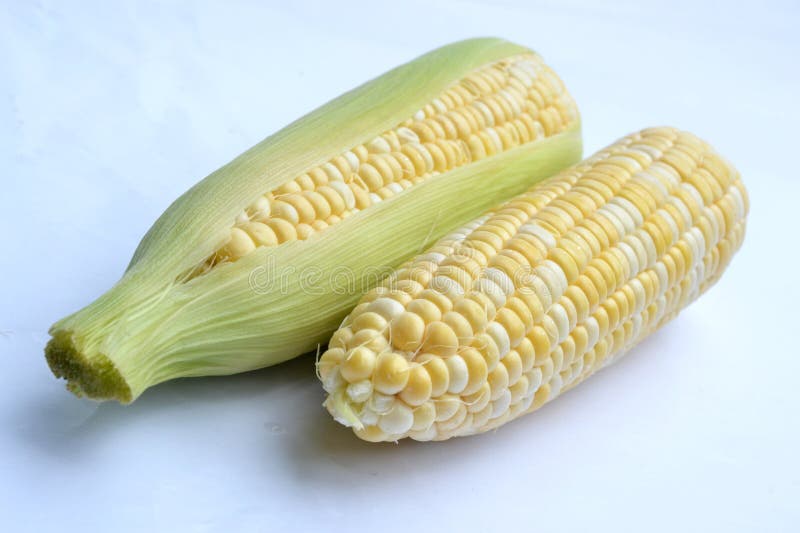 Sweet corn with two colors stock photo. Image of wildflower - 330174634