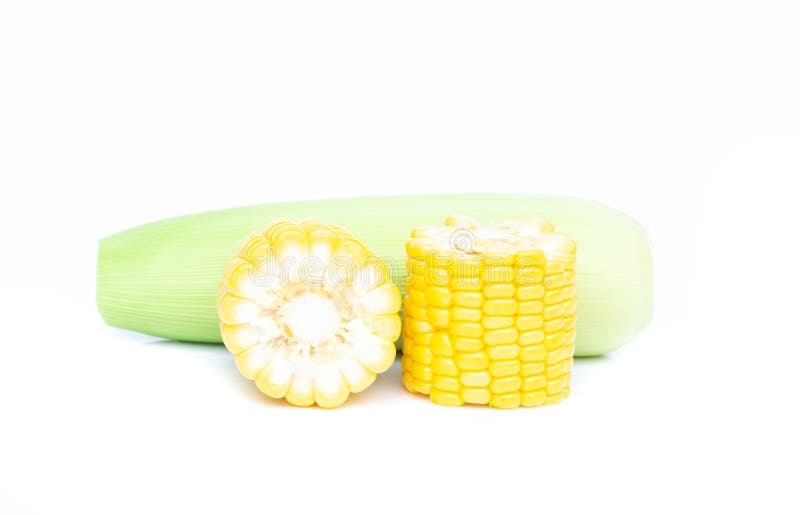 Sweet Corn on White Background Stock Image - Image of white, fresh ...