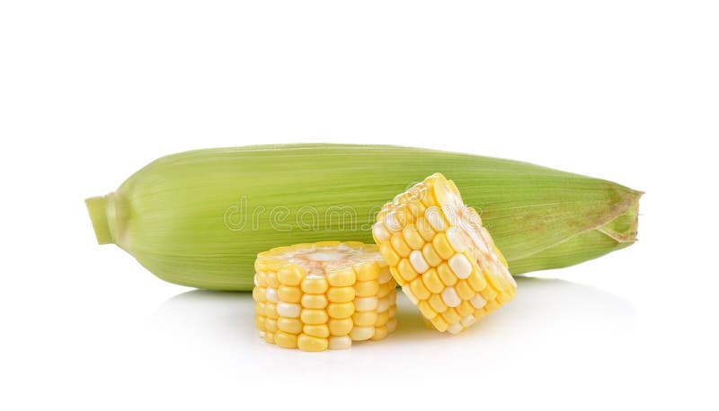 Sweet Corn on White Background Stock Photo - Image of healthy, husk ...