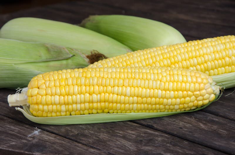 Sweet corn stock photo. Image of table, yellow, texture - 53502422
