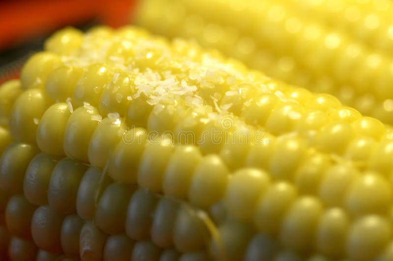 Sweet corn. stock photo. Image of wood, eating, vegetables - 42947498