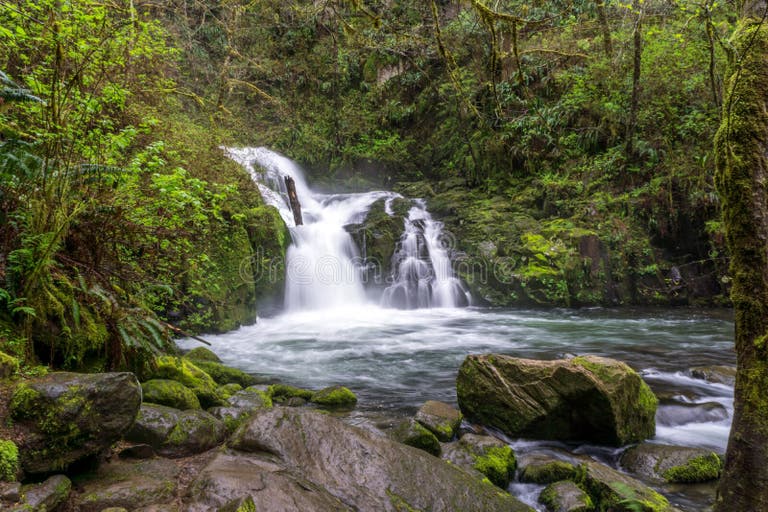 Sweet Creek Falls in Spring - Mapleton, Oregon Coast Stock Photo ...