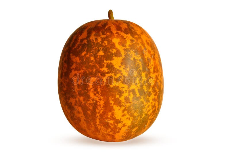 Sweet cucumber salad stock photo. Image of decorate - 127342608