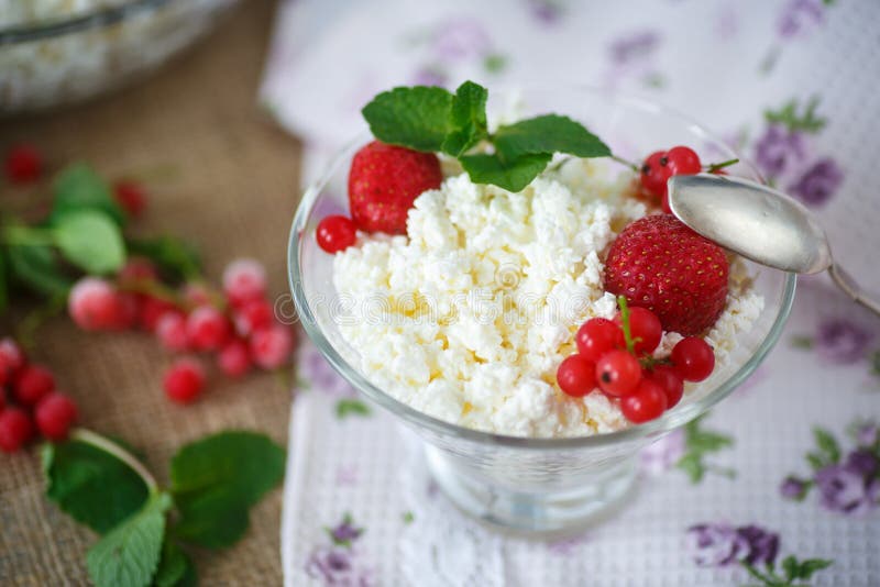 Sweet curd with berries stock photo. Image of bowl, eating - 49177864