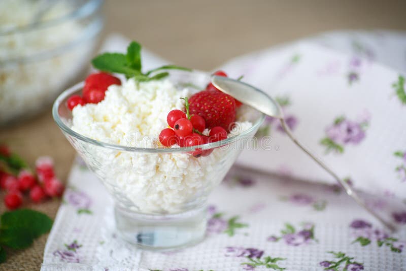 Sweet curd with berries stock photo. Image of dairy, meal - 49178164