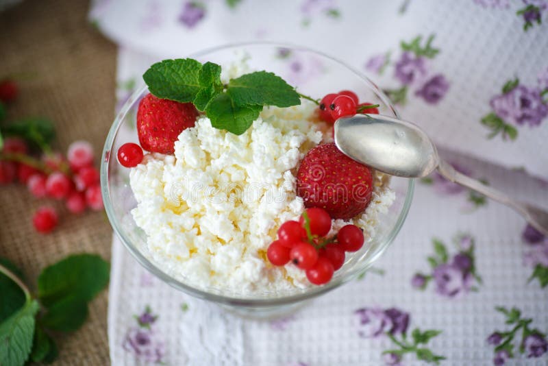 Sweet curd with berries stock image. Image of kitchen - 49410643
