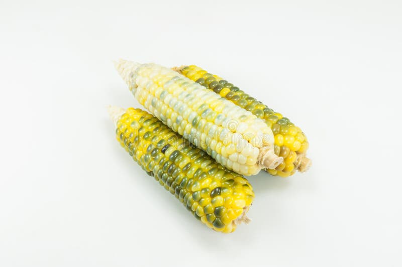 Sweet and Delicious Little Corn on White Stock Photo - Image of indian ...