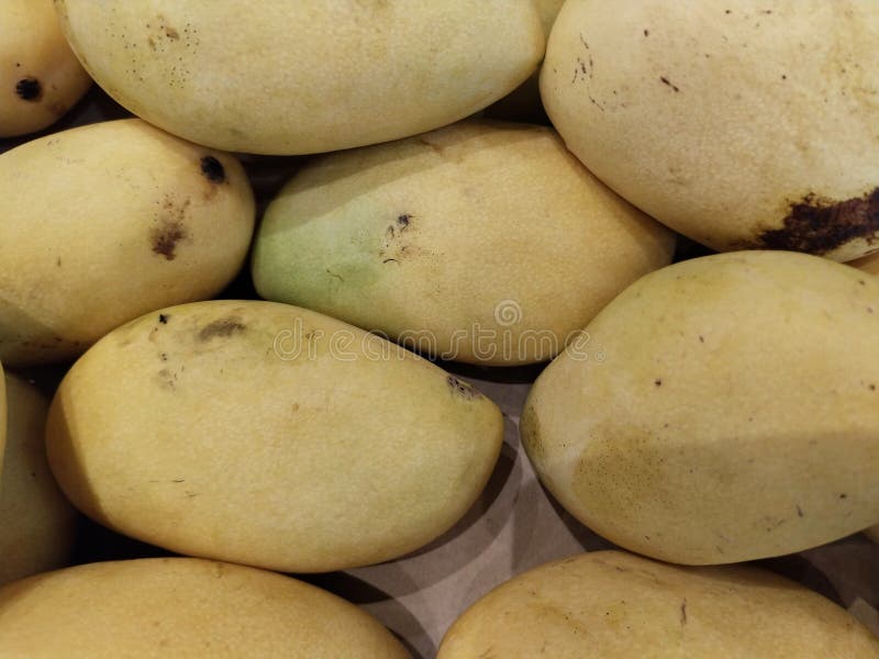 Sweet and Delicious Mango Fruit from the Philippines Stock Photo ...
