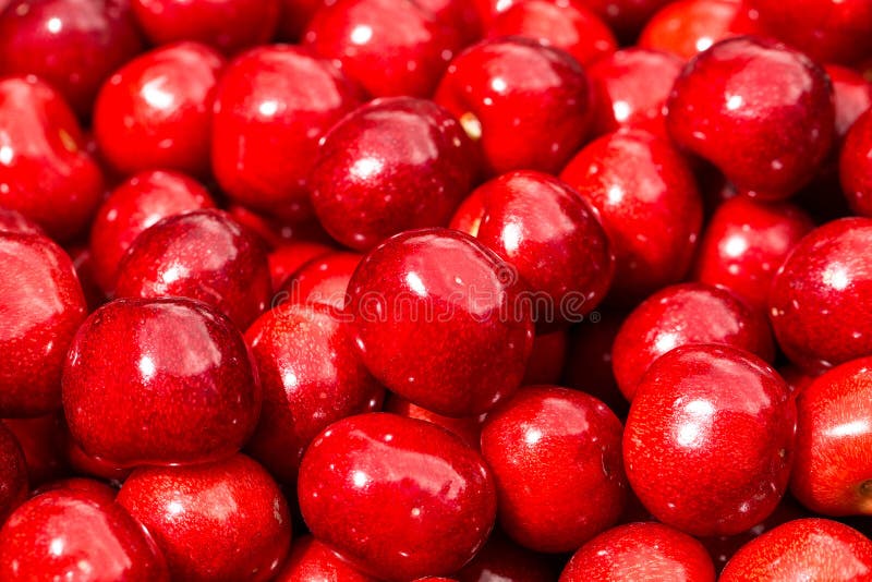 Sweet delicious red cherry stock photo. Image of heap - 42040506