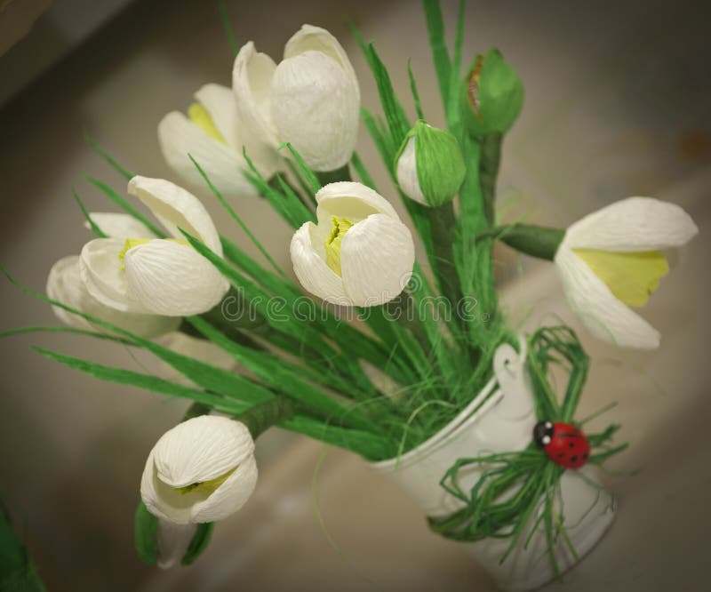 Sweet Design, Bouquet of Candy, Spring, Snowdrop Stock Photo - Image of ...