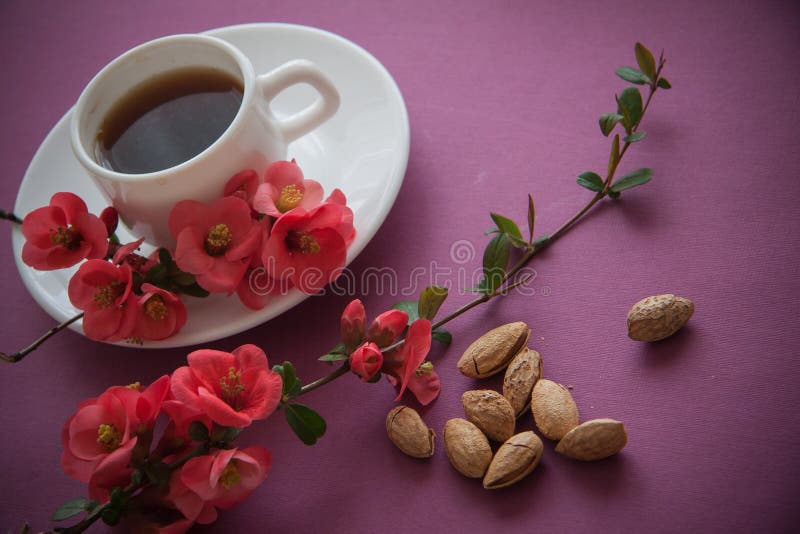 Sweet dessert with waffles stock image. Image of exotic - 72967745