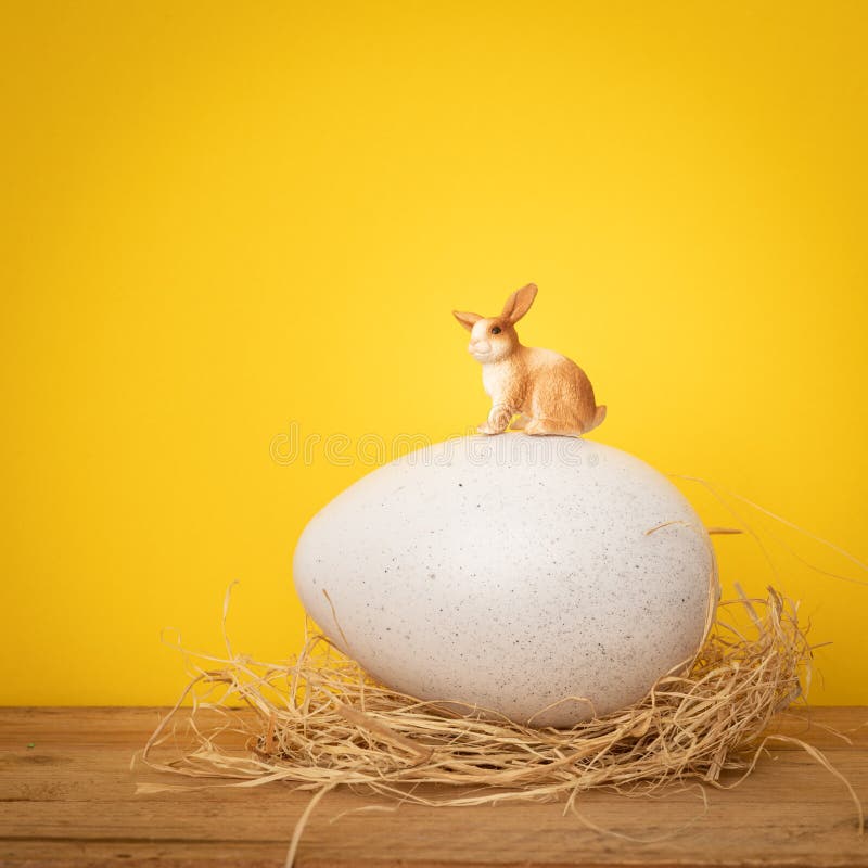 Sweet Easter Bunny is Sitting on a Big Egg Yellow Background Stock ...