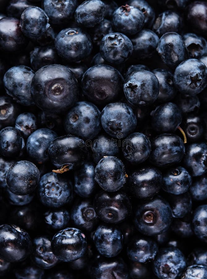 Sweet Fresh Blueberry Macro Pattern Top View Copy Space Texture Blue ...