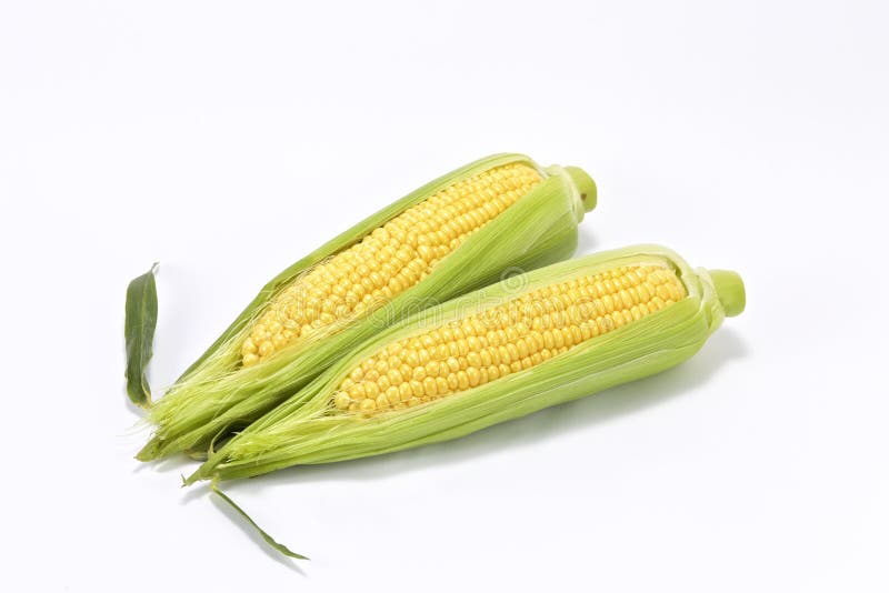 Sweet fresh corn stock image. Image of diet, golden, fresh - 55713299