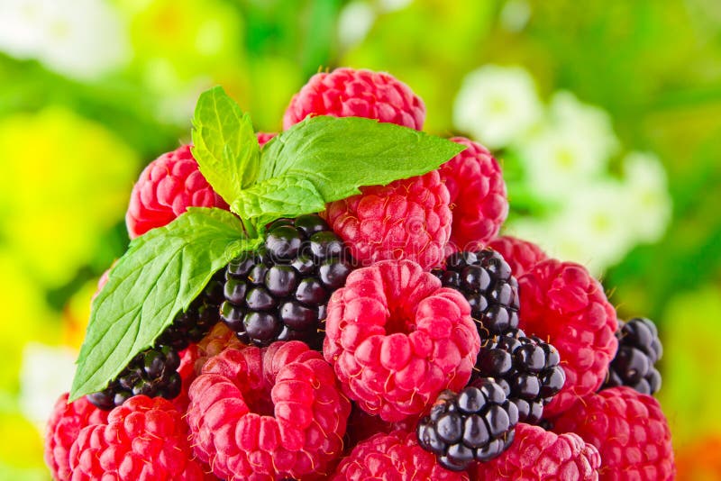 Sweet fresh fruits stock image. Image of dessert, food - 31570523