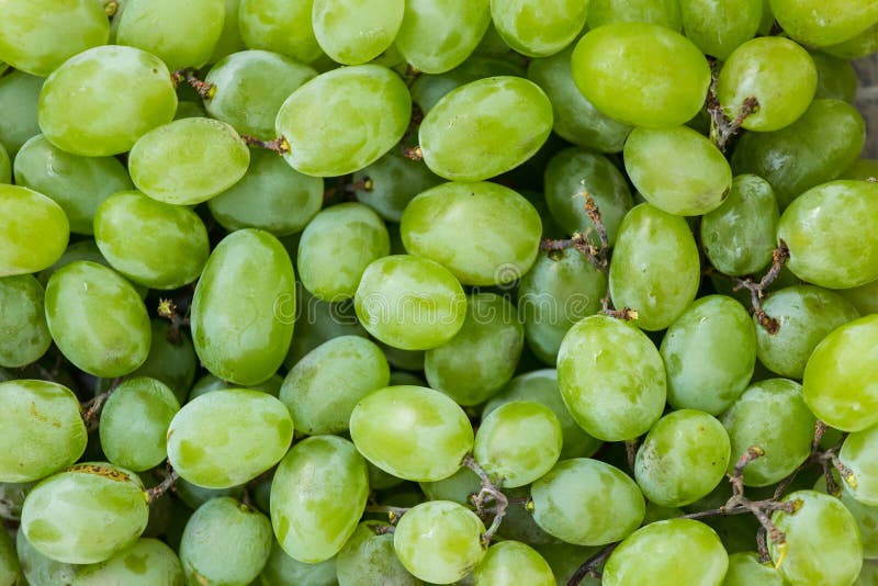 Sweet Fresh Grape. Grape Background Stock Image - Image of fruit ...