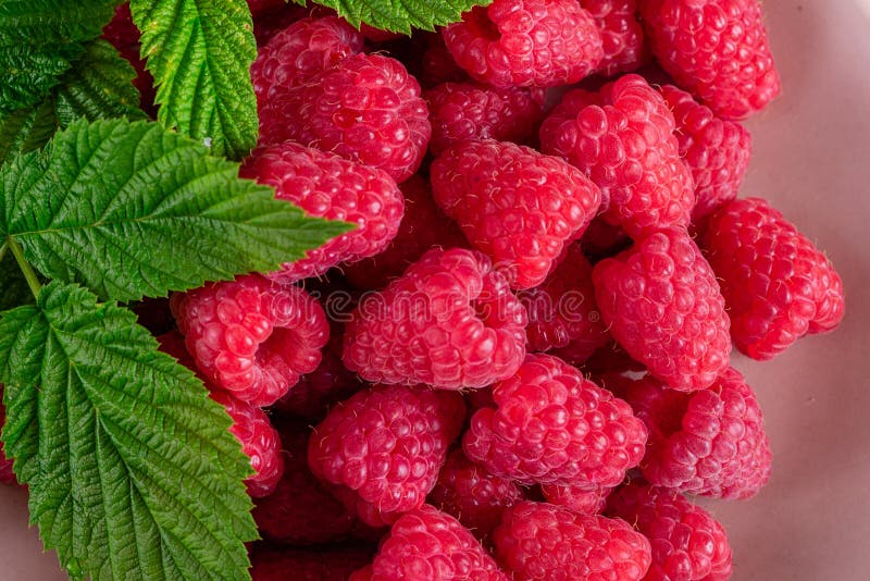 Sweet Fresh Organic Raspberries Background Close-up Stock Photo - Image ...