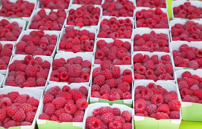 Sweet fresh raspberries stock image. Image of food, sell - 19860043