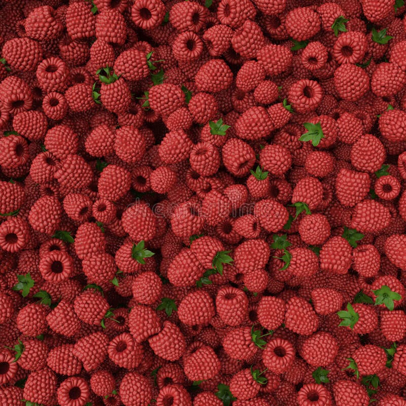 Sweet Fresh Raspberries Closeup Stock Illustration - Illustration of ...