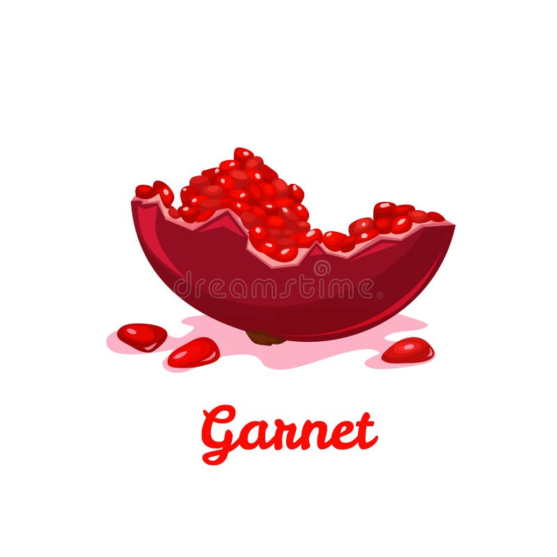Sweet Fresh Red Garnet. Vector Flat Illustration Stock Vector ...