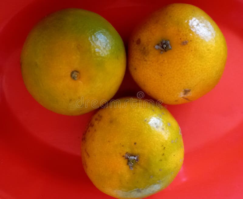 Sweet and Fresh Yellow Citrus Fruit Stock Photo - Image of sweet, fruit ...
