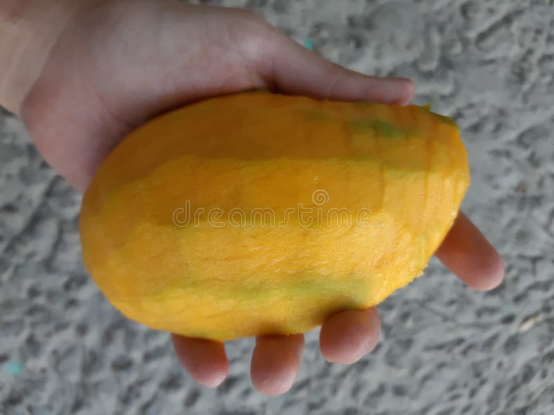 Sweet Fruit is Mango and Very Nice Stock Image - Image of sweet, apple ...