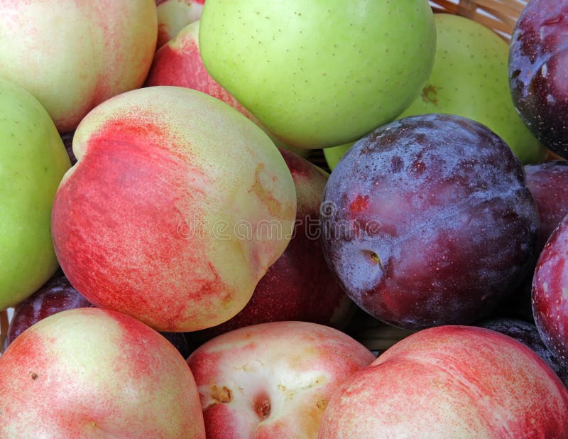 Sweet fruits stock image. Image of fresh, fruit, tasty - 13915763