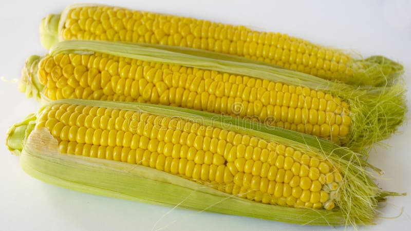 .Sweet Golden Corn. Image of a Yellow Grain of Sweet Corn on the Cob ...