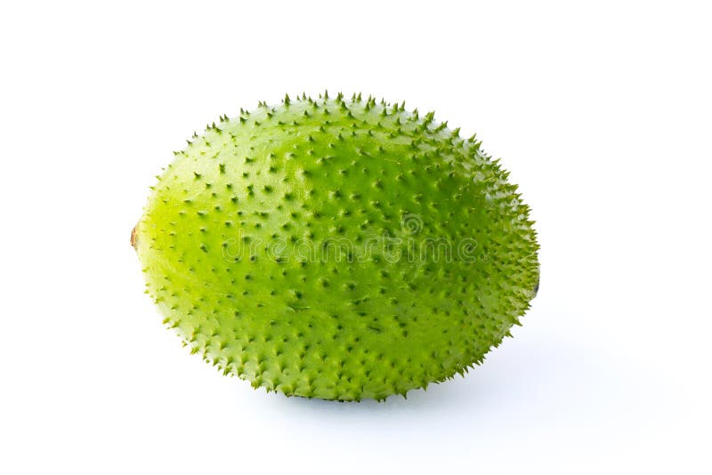 Sweet Gourd stock photo. Image of fresh, dicotyledon - 20680048