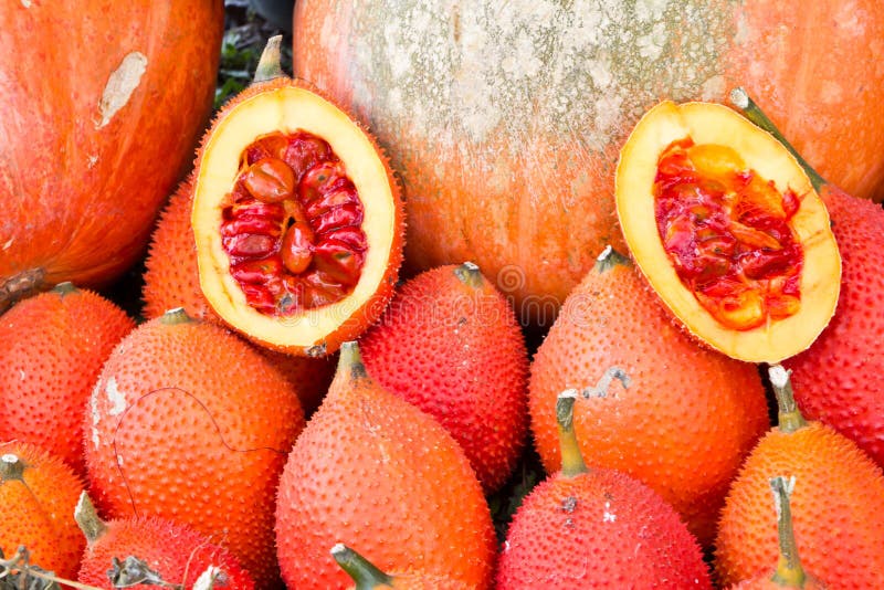 2,831 Asian Sweet Gourd Stock Photos - Free & Royalty-Free Stock Photos ...