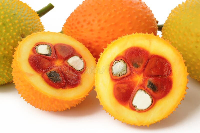 Sweet Gourd stock photo. Image of jelly, green, food - 37930444