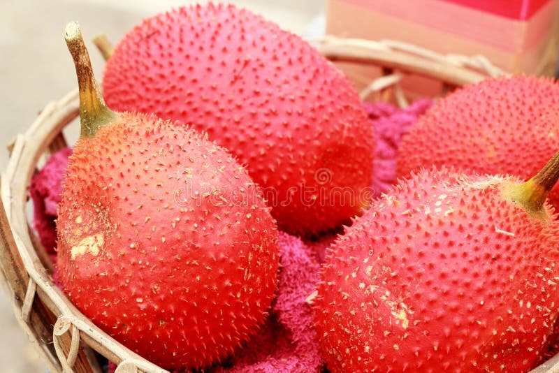 Sweet gourd in the market stock image. Image of squash - 39101765