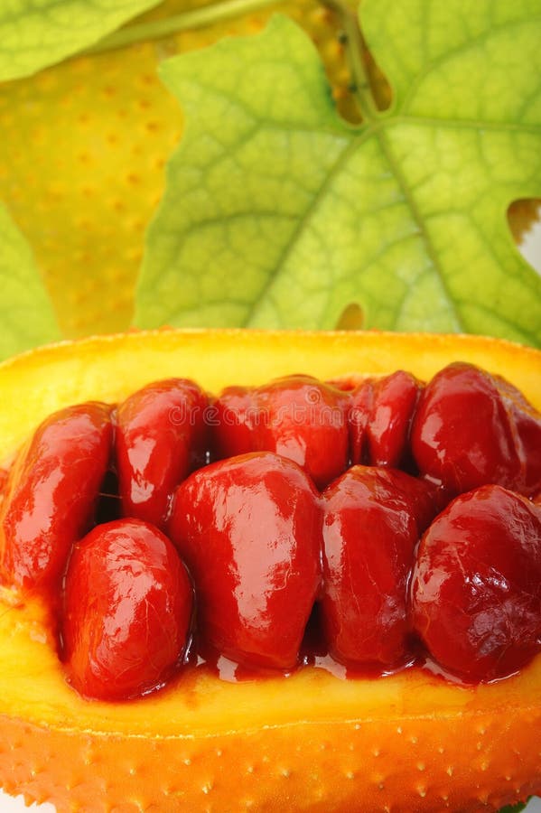 Sweet gourd in the market stock photo. Image of bunch - 39102468