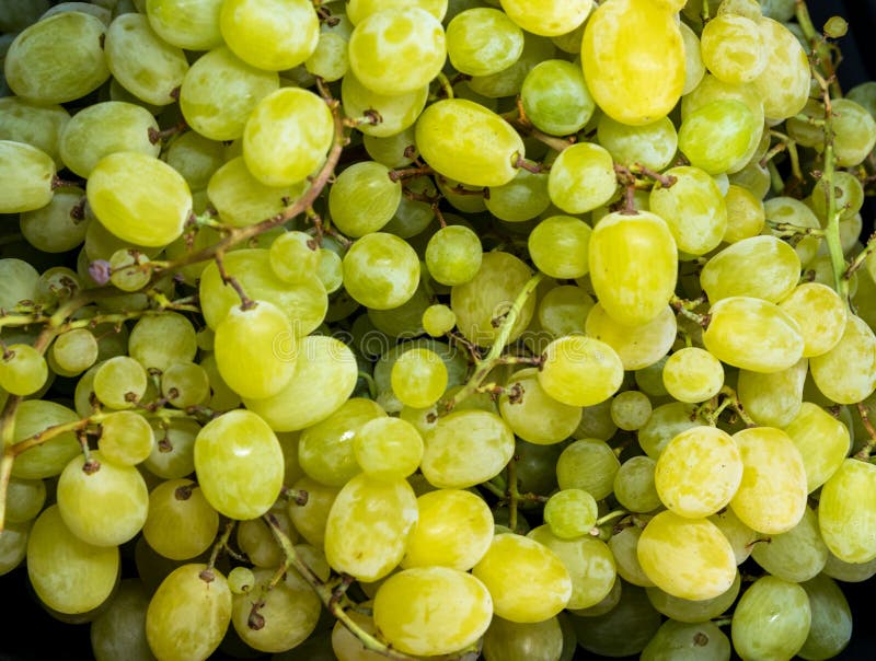 Sweet Green Grapes on Black Background Stock Image - Image of ...