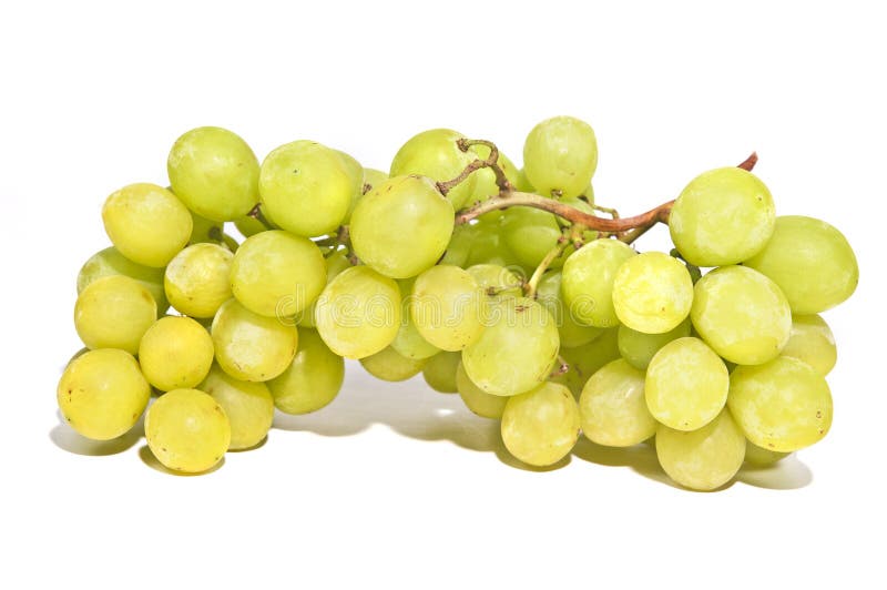 Sweet Green Seedless Grapes on Vine Stock Image - Image of seedless ...
