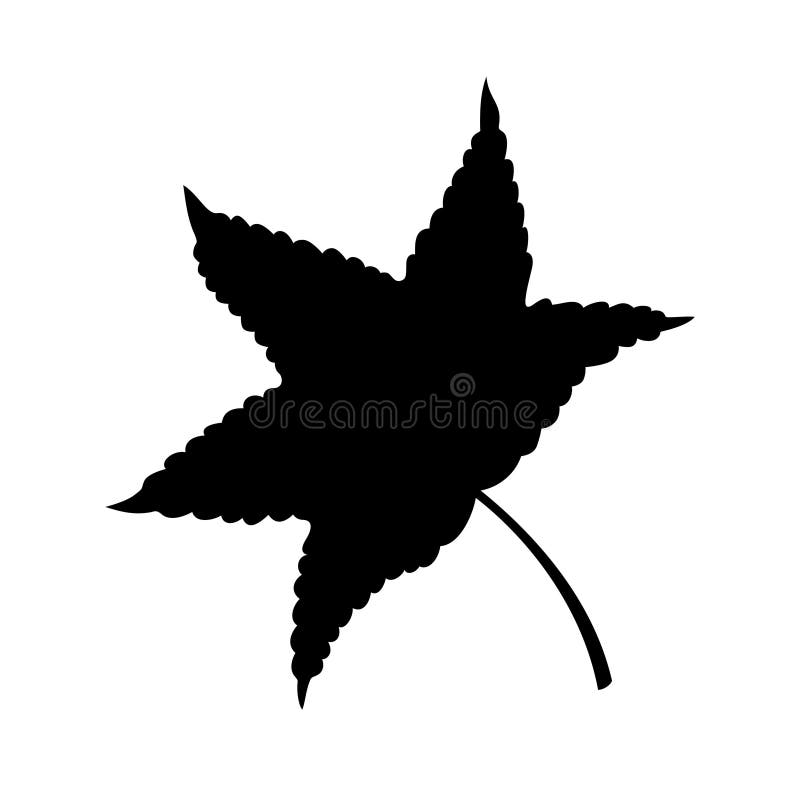 Sweet gum leaf stock vector. Illustration of tree, nature - 143362103