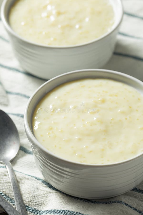 Sweet Homemade Tapioca Pudding Stock Image - Image of tapioca, coconut ...