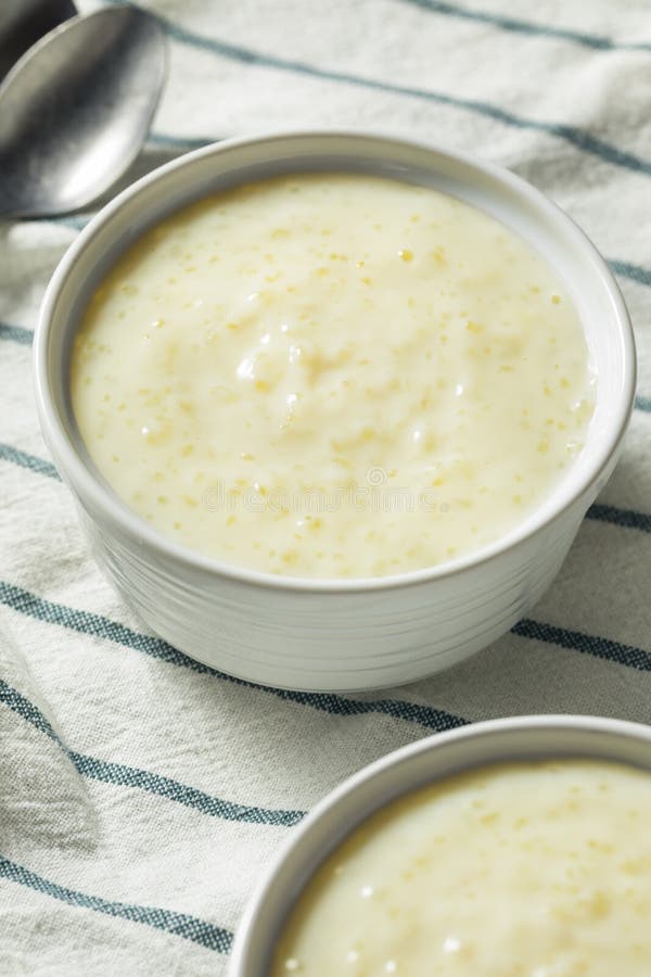 Sweet Homemade Tapioca Pudding Stock Image - Image of sweet, fresh ...