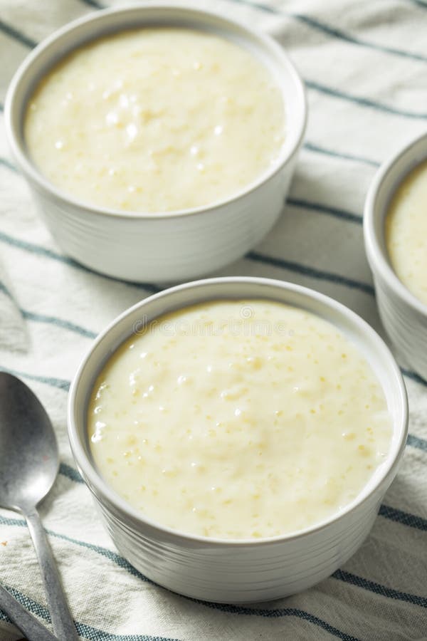 Sweet Homemade Tapioca Pudding Stock Image - Image of organic ...