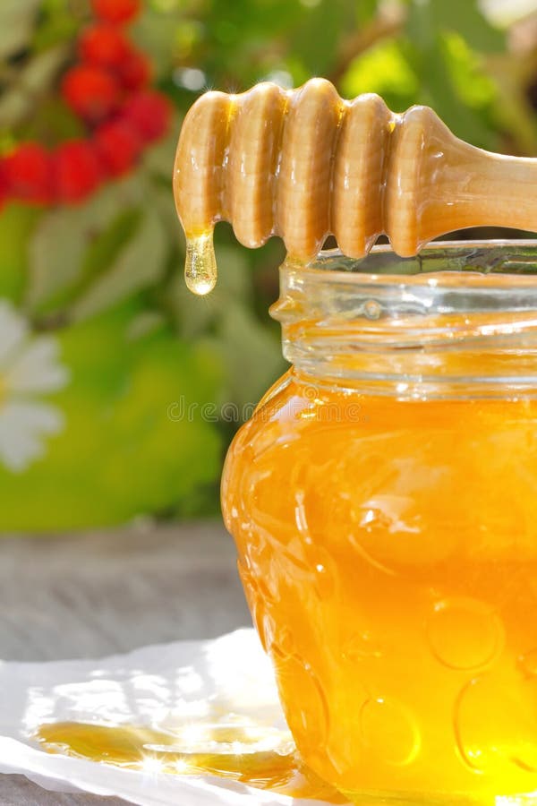 Sweet honey stock image. Image of gourmet, fructose, healthy - 60113655