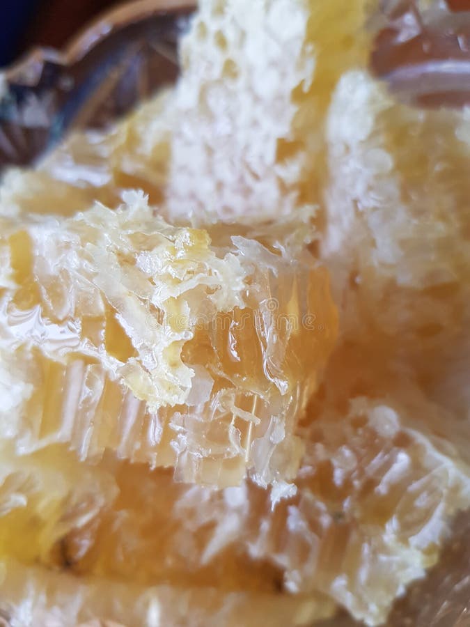 Sweet honey stock photo. Image of wild, honeycomb, yellow - 146196280