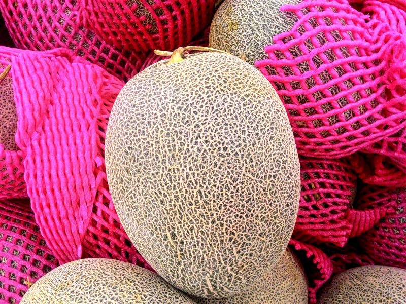 Japanesemelon Stock Photos - Free & Royalty-Free Stock Photos from ...